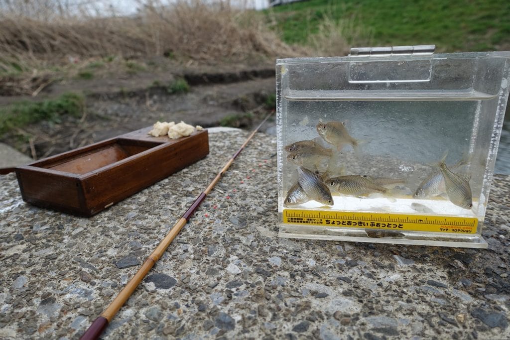 Edo wazao - Japan’s Gorgeous, Precarious Bamboo Fishing Poles ...