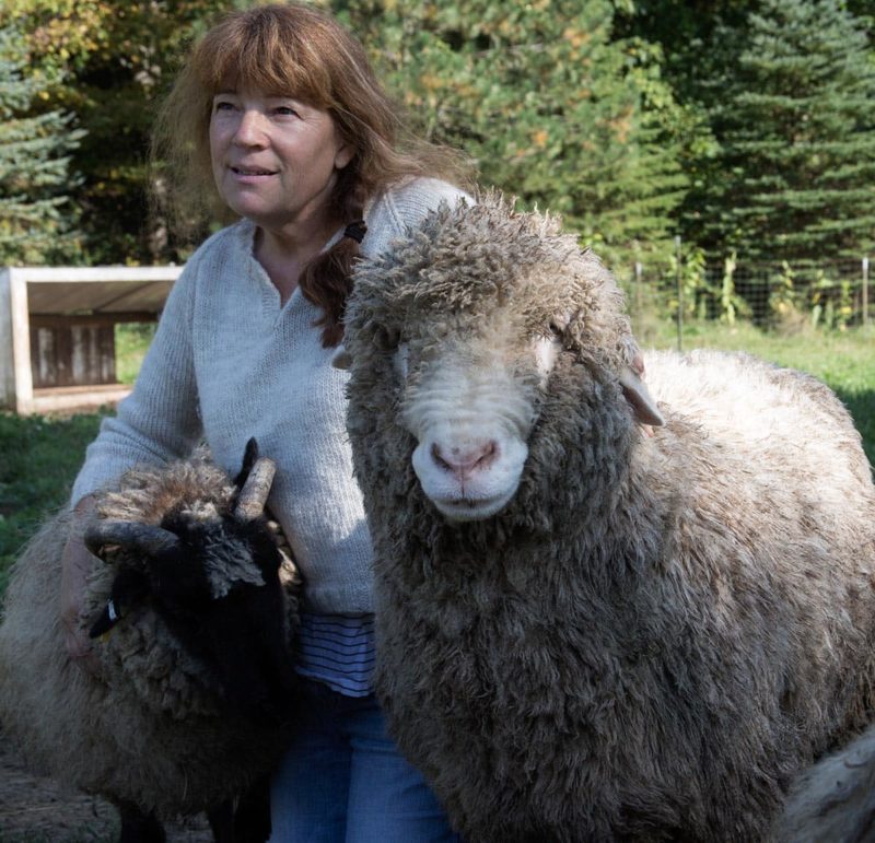 Wool: Suggested Resources and Gift Ideas | Craftsmanship Magazine