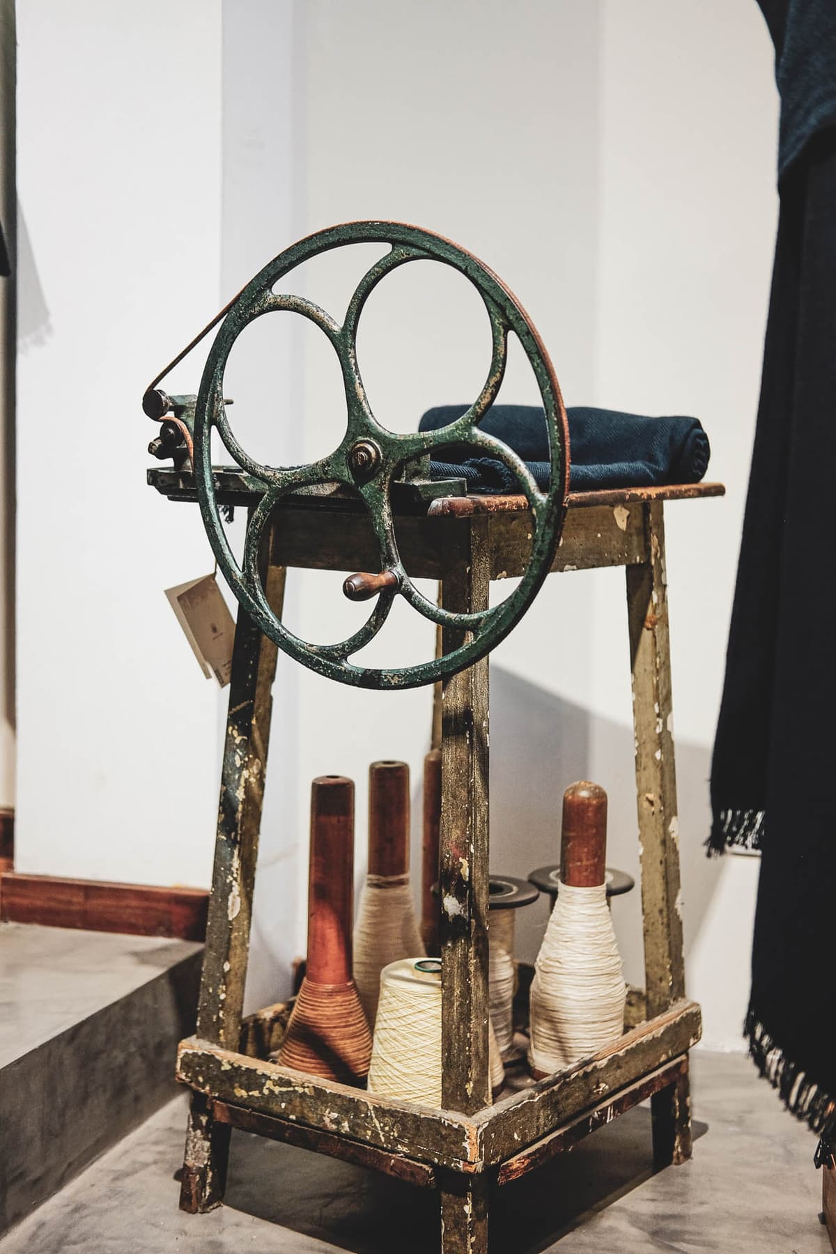 Argentina’s Textile Crusader - Guanaco Wool | The Craftsmanship Initiative