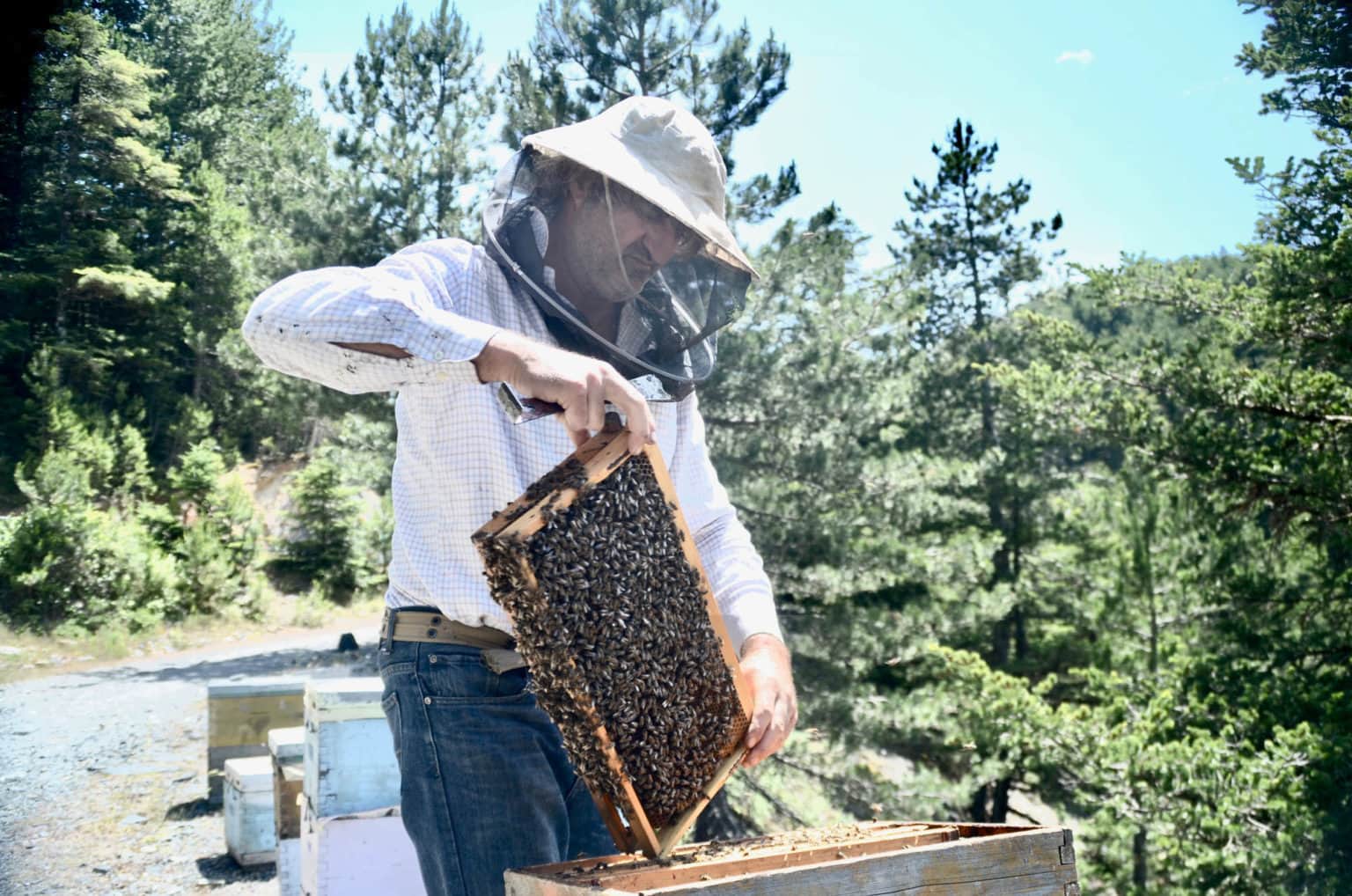 Greece’s Secret to Perfect Honey - The Craftsmanship Initiative